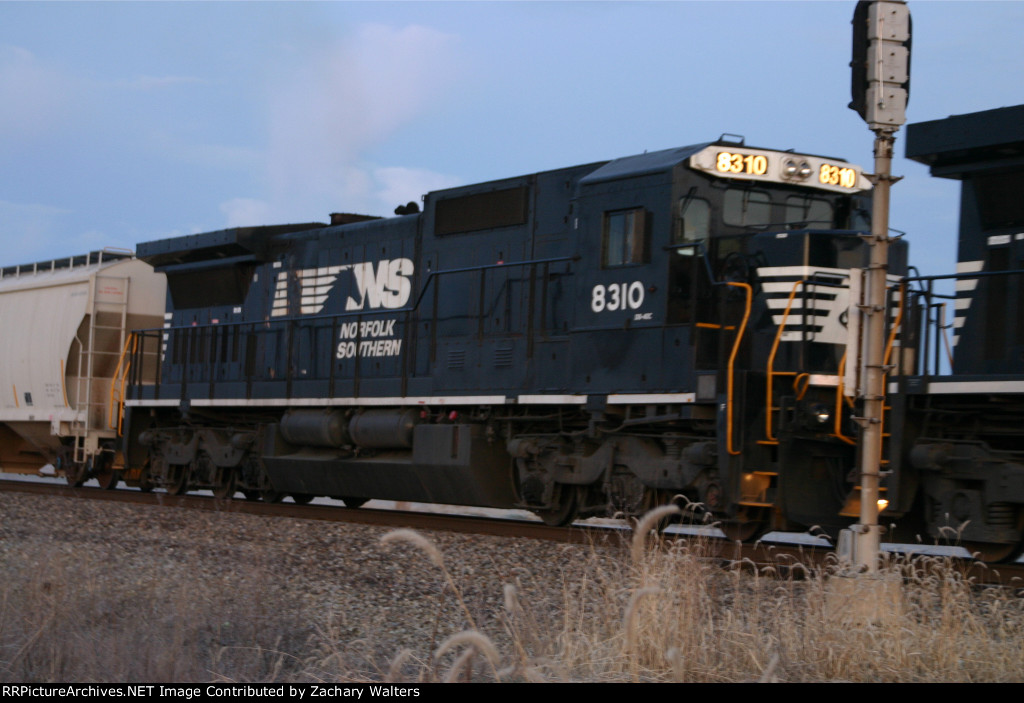 NS 8310